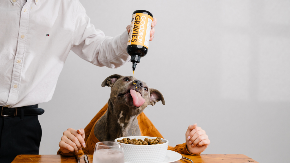 "Why's My Kibble So Furking Bland?" - Your Dog · Goodboy Gravies