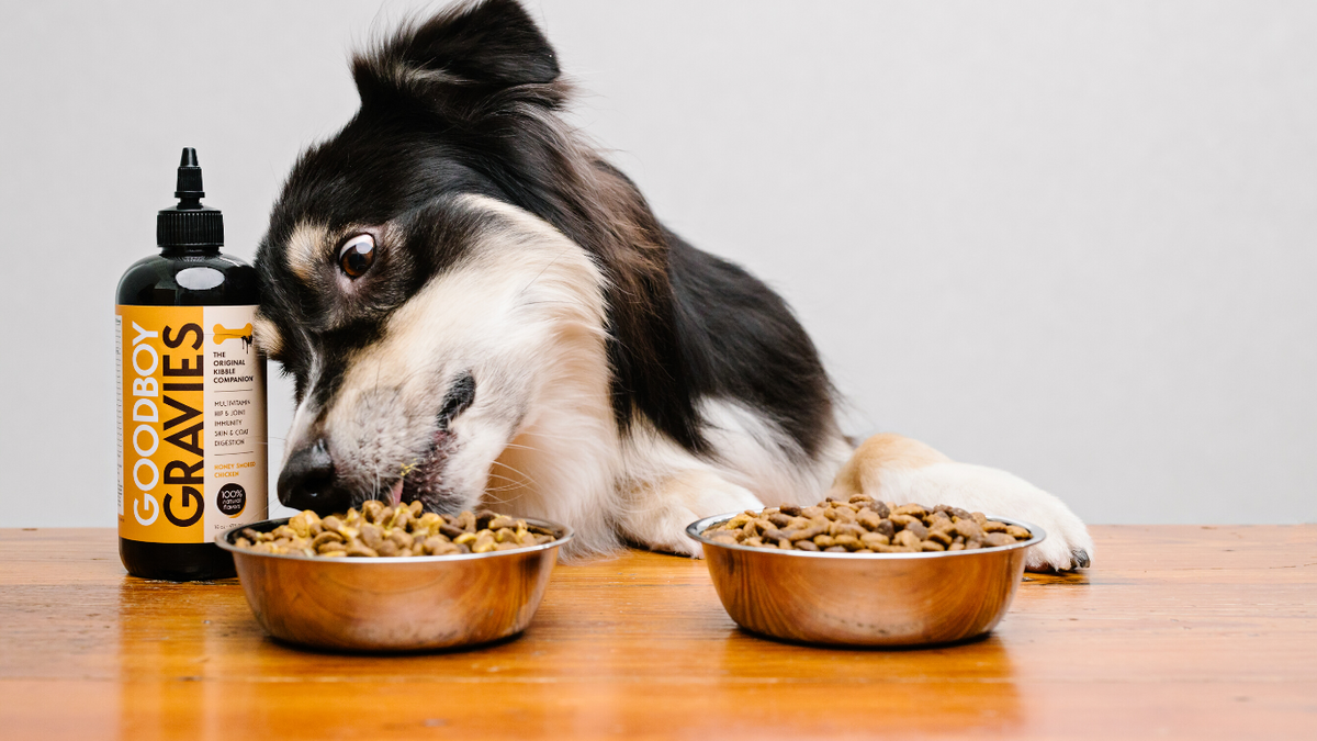 "Why's My Kibble So Furking Bland?" - Your Dog · Goodboy Gravies
