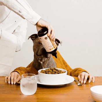 "Why's My Kibble So Furking Bland?" - Your Dog · Goodboy Gravies